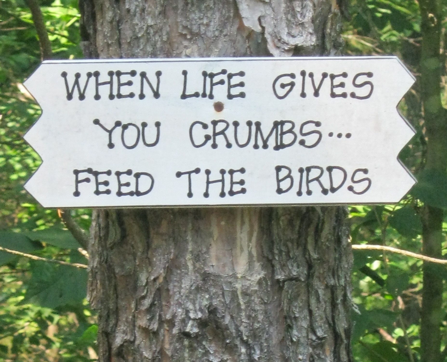 Directions | Leon Valley Campground